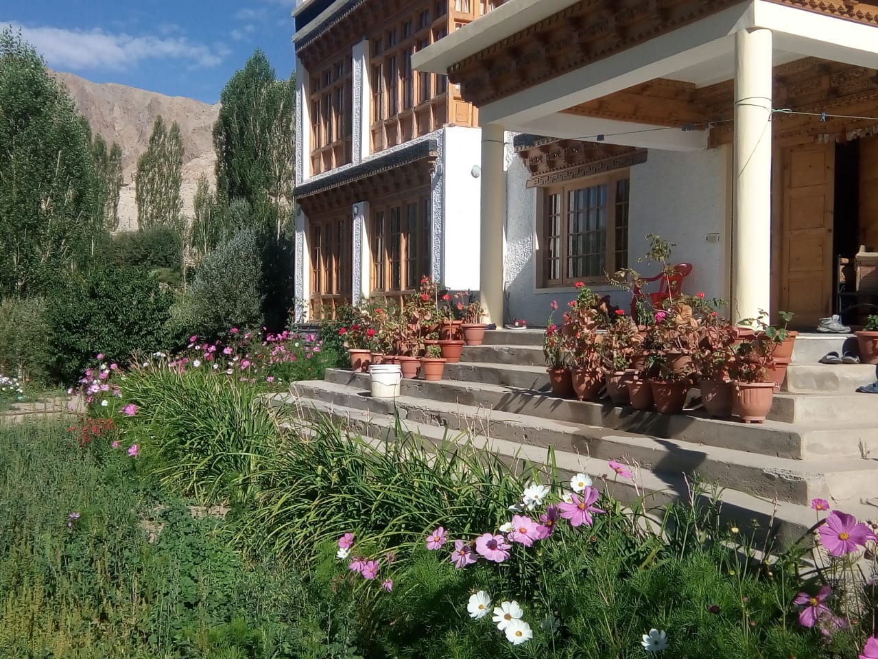 Tahang House, Leh - Is it Worth it? NEW Reviews 2025