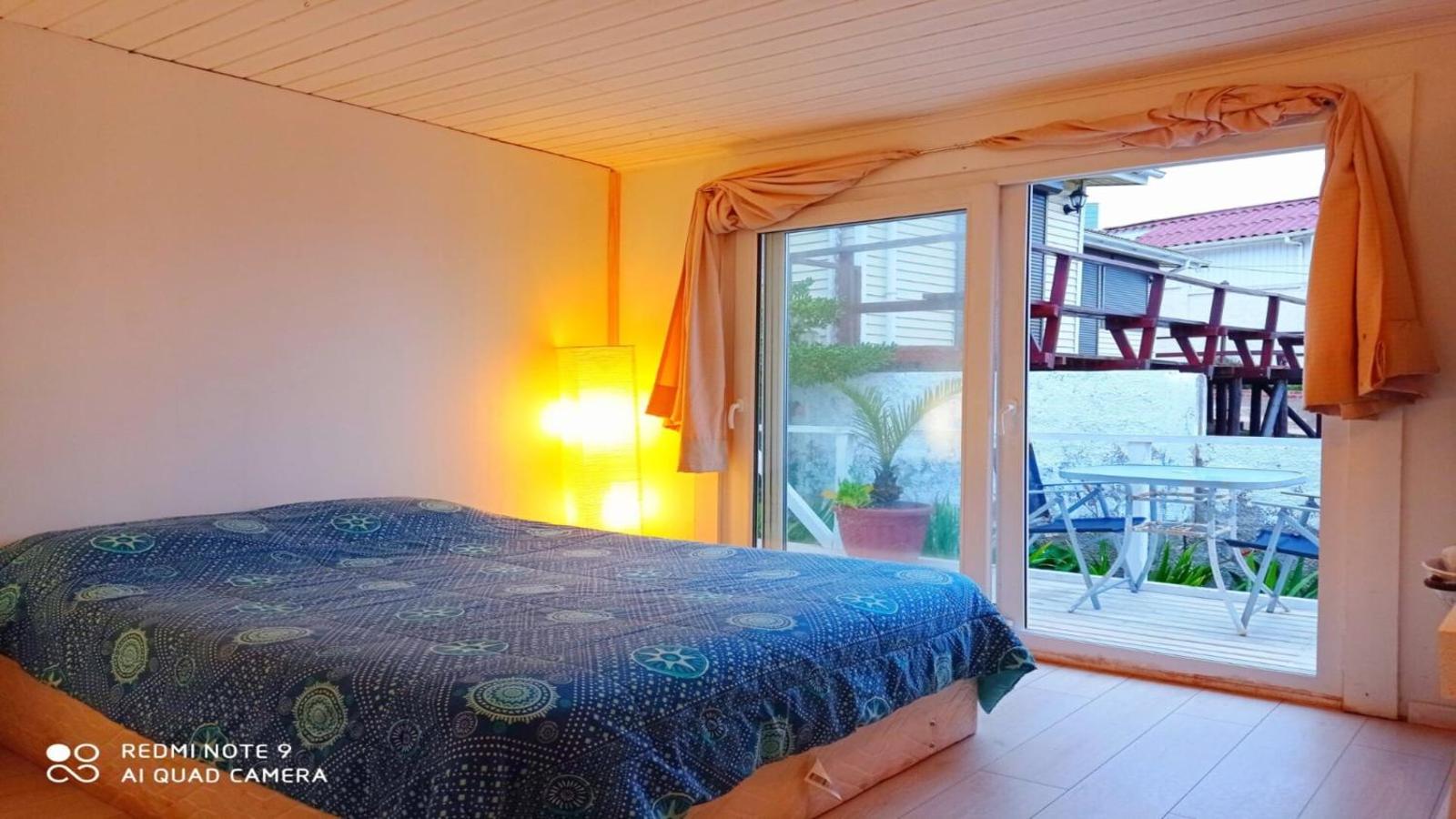 SeaView, - Is it Worth it? NEW Reviews 2025