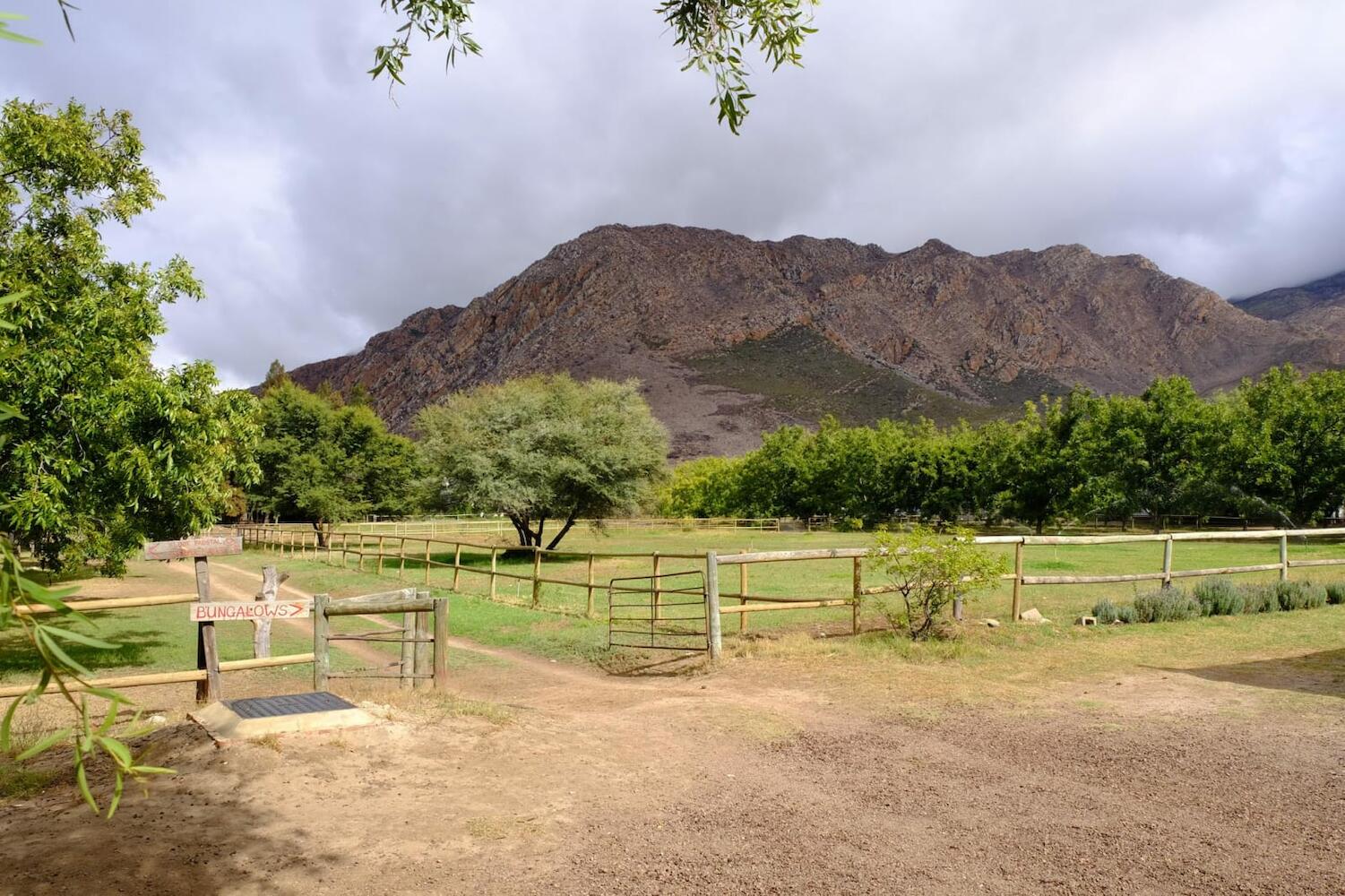 De Bos Backpackers & Camping, Montagu - Is it Worth it? NEW Reviews 2025