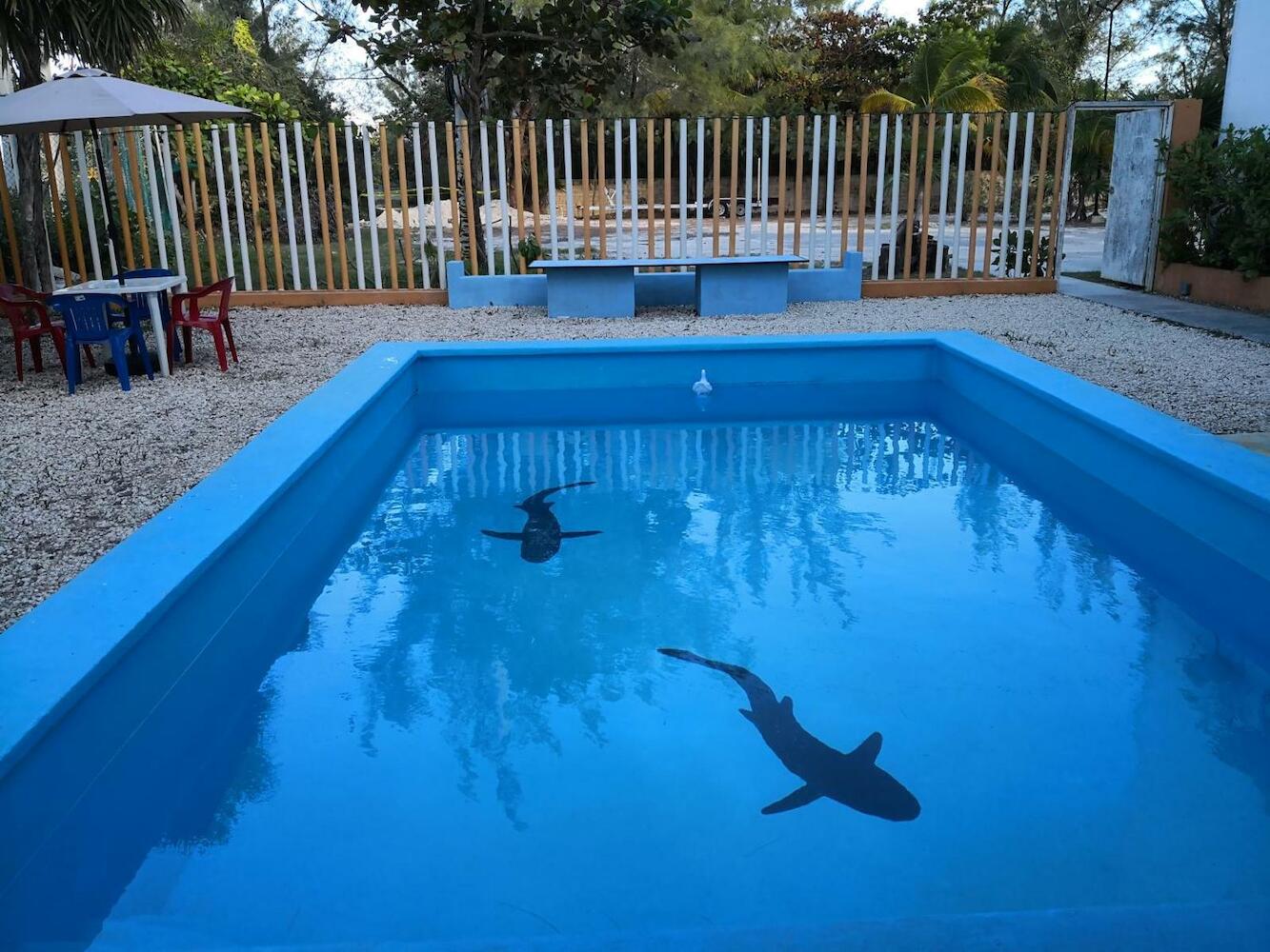 Punta Sam, Cancún - Is it Worth it? NEW Reviews 2025