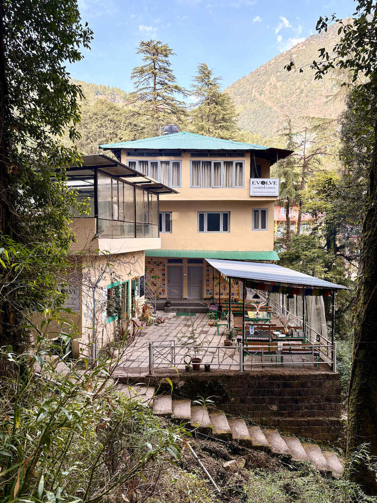 Best Hostels with Yoga in Dharamsala (Classes, Courses, Peace)