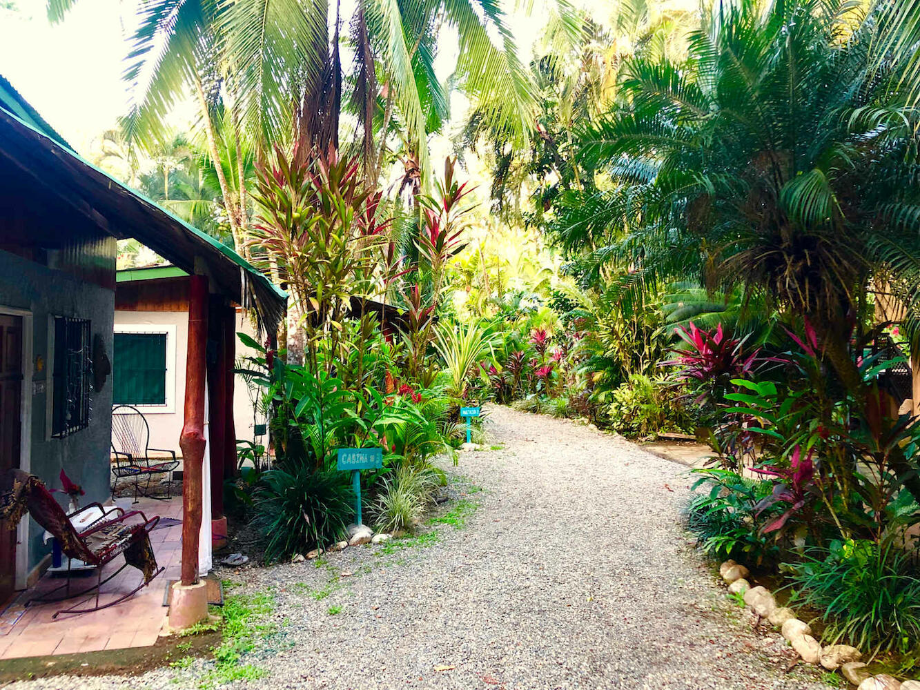 Price Comparison for Tasty Dayz Hostel in Puerto Viejo de Talamanca (with HONEST Reviews 2022)