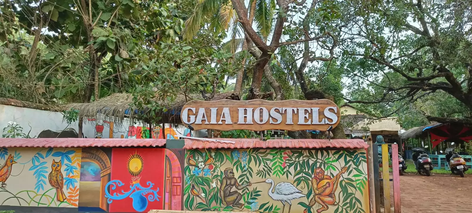 Gaia Hostel, Goa - Is it Worth it? NEW Reviews 2024
