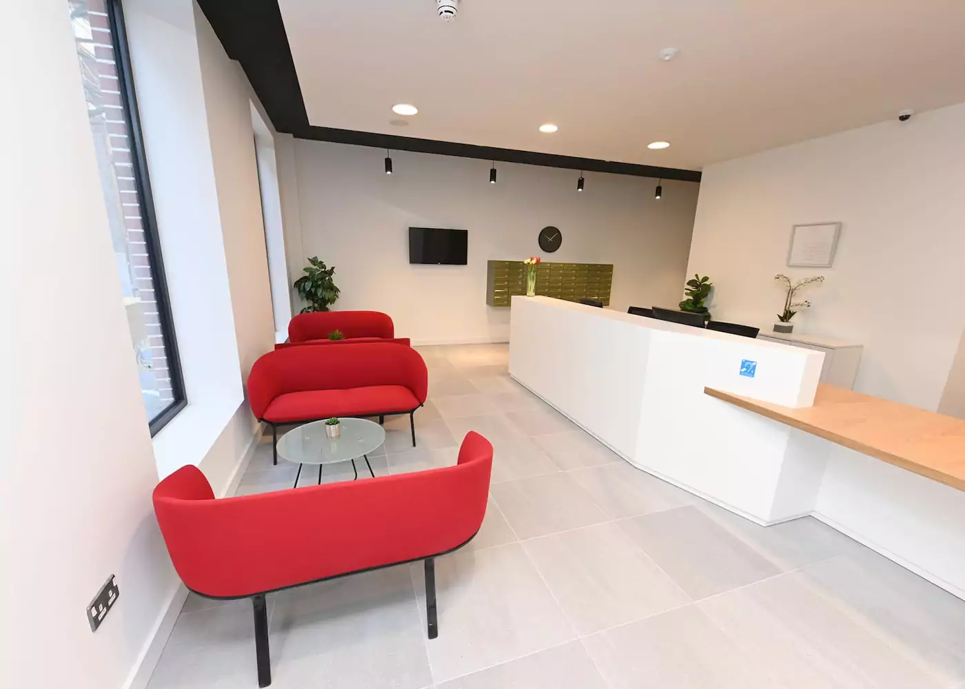 Yugo Lee Point, Cork - Is it Worth it? NEW Reviews 2023