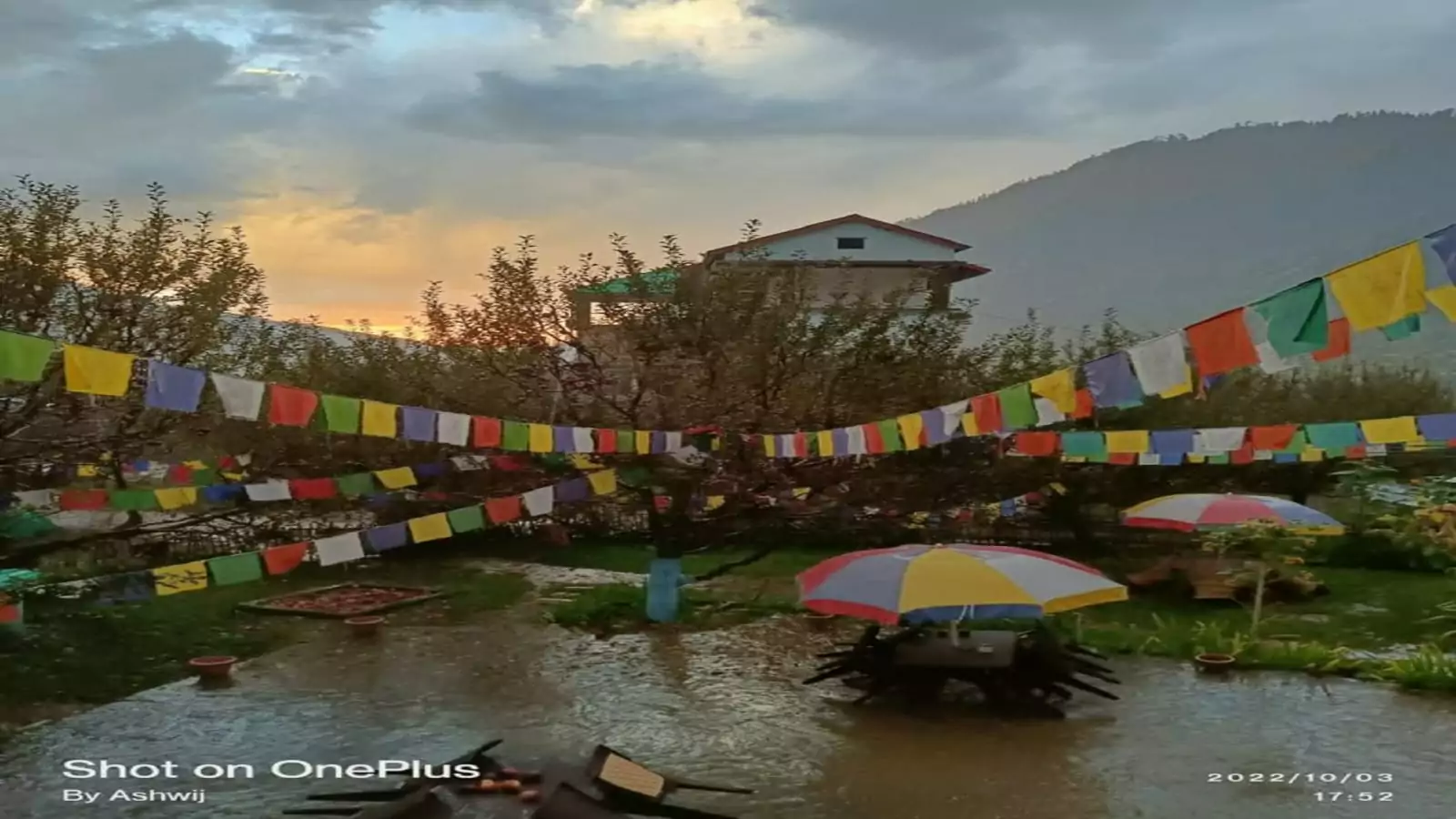 Freedom Cafe- Kalga, Kasol - 2023 Price & Reviews Compared