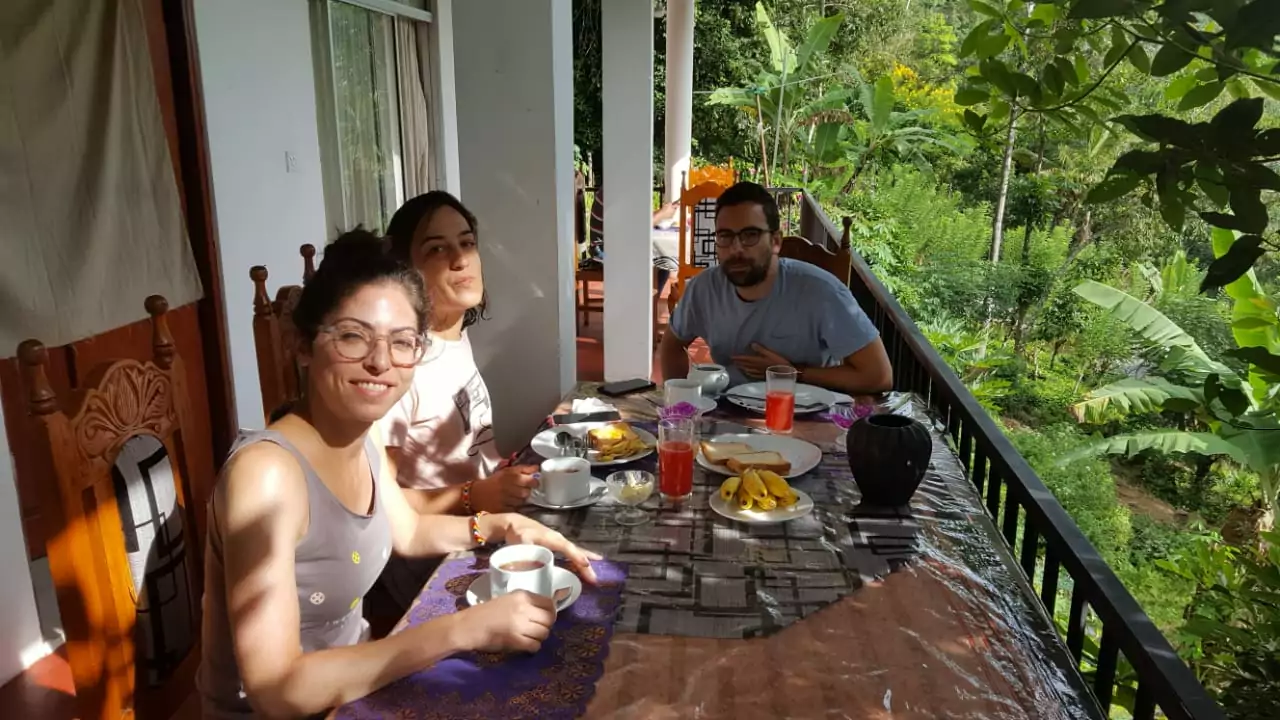 Ella Cool Jungle, Ella - Is it Worth it? NEW Reviews 2024