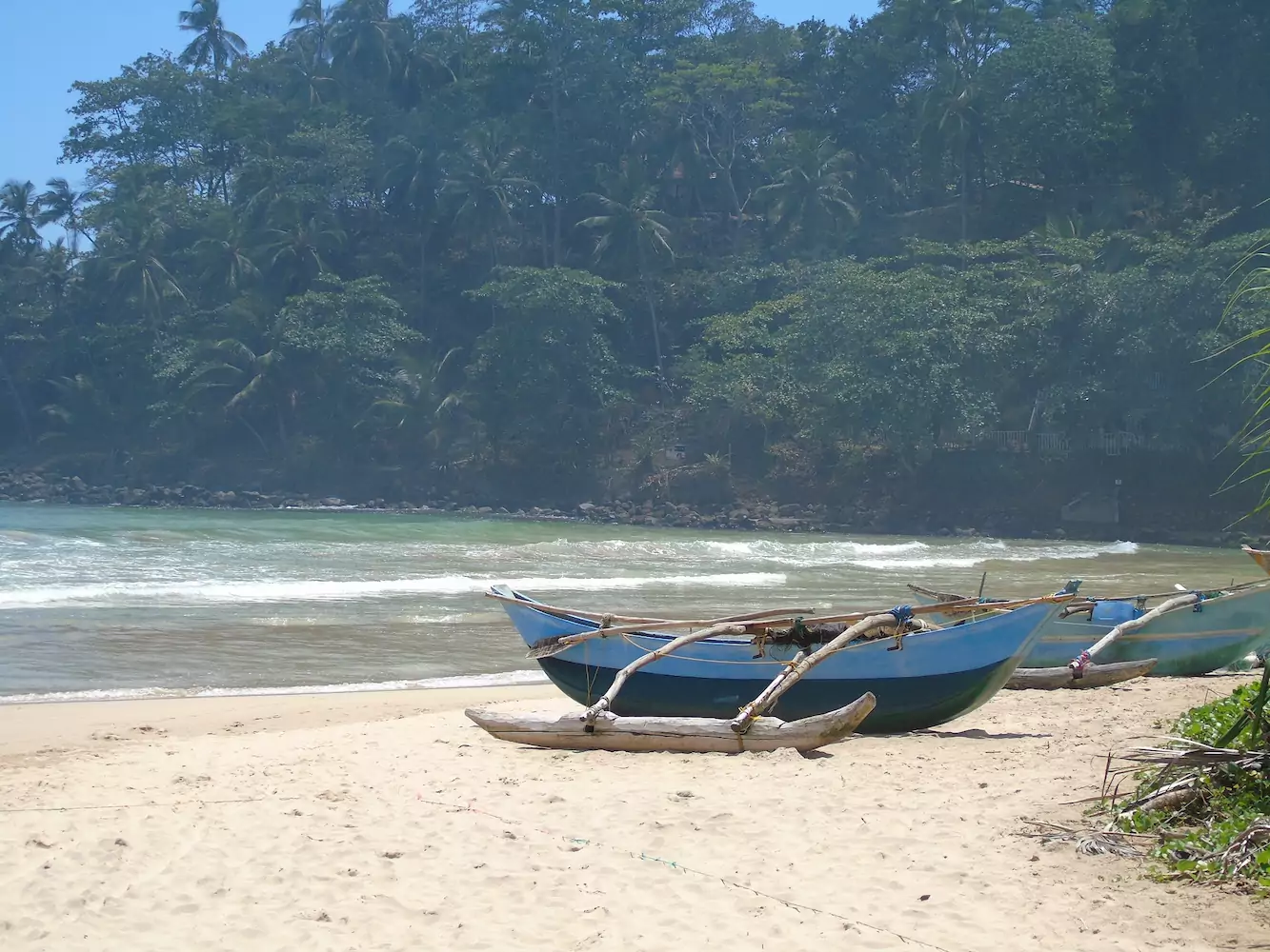 Coconut Hotel Talalla, Matara/ Madiha - Is it Worth it? NEW Reviews 2024