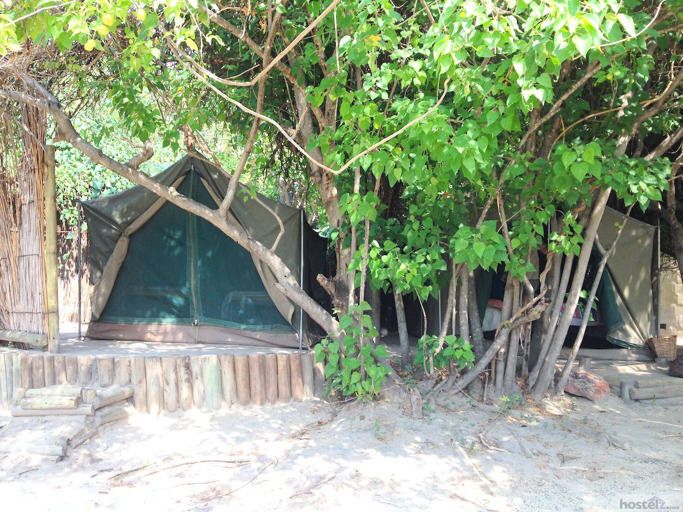 The Old Bridge Backpackers in Maun - Prices 2021 (How to compare?)