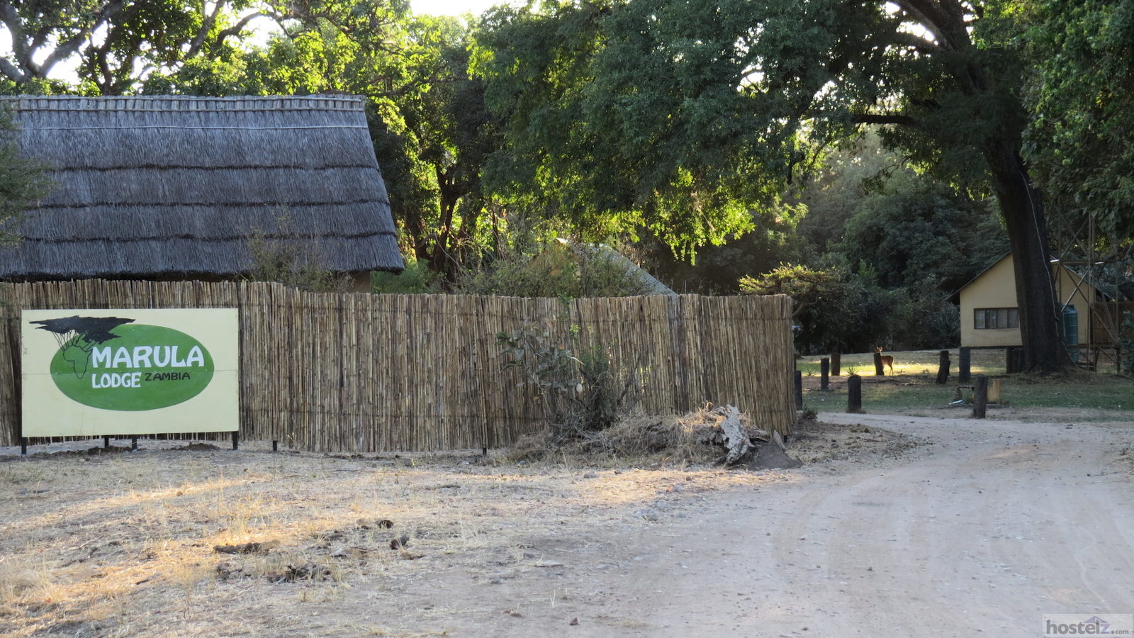 Price Comparison for Marula Lodge in Mfuwe (with HONEST Reviews 2022)