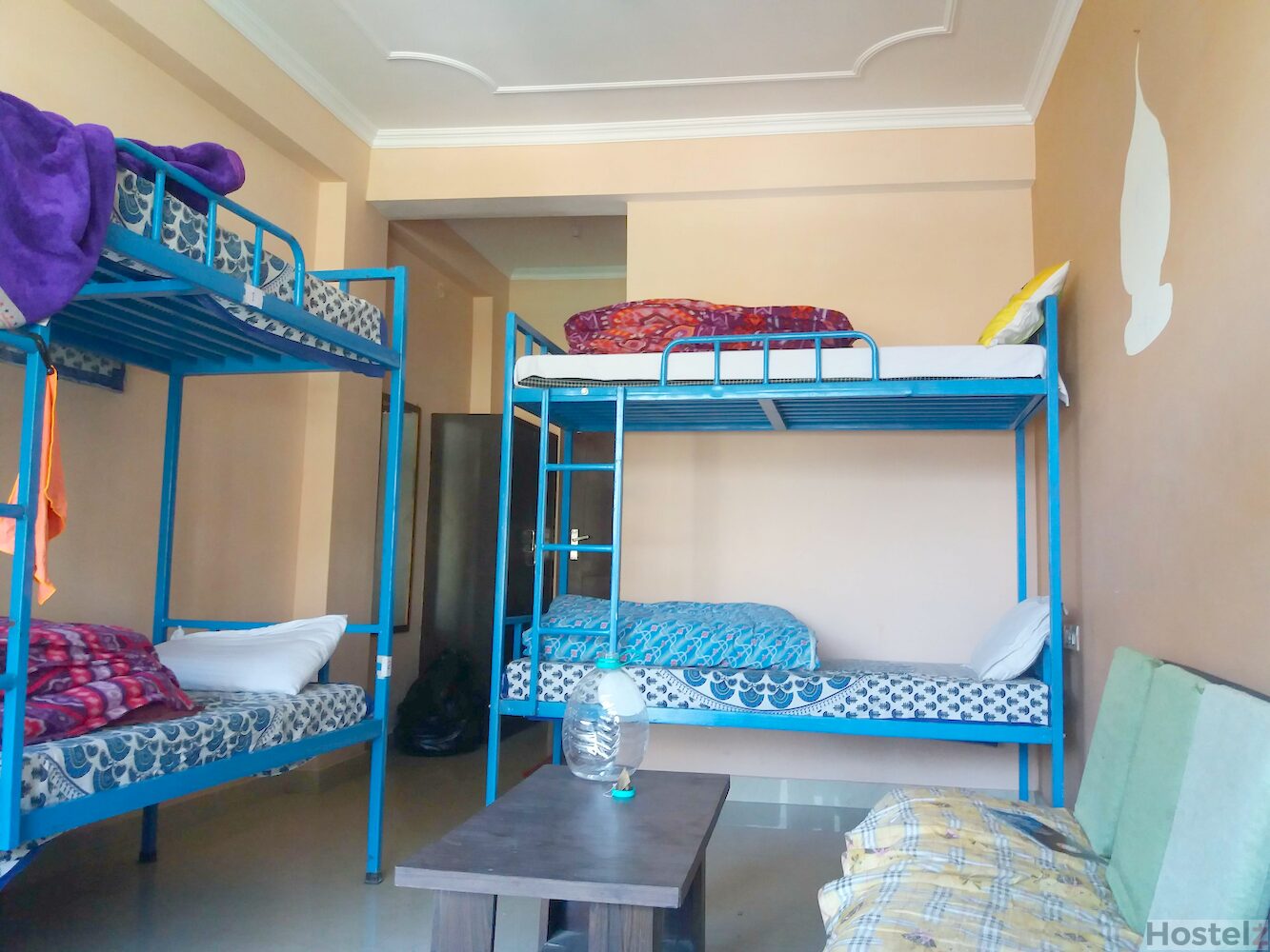 Backpackers Inn, Dharamsala - Is it Worth it? NEW Reviews 2024